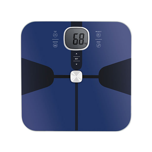 Body Fat Analyzer Scale Electronic Body Fat Scale Manufacturer
